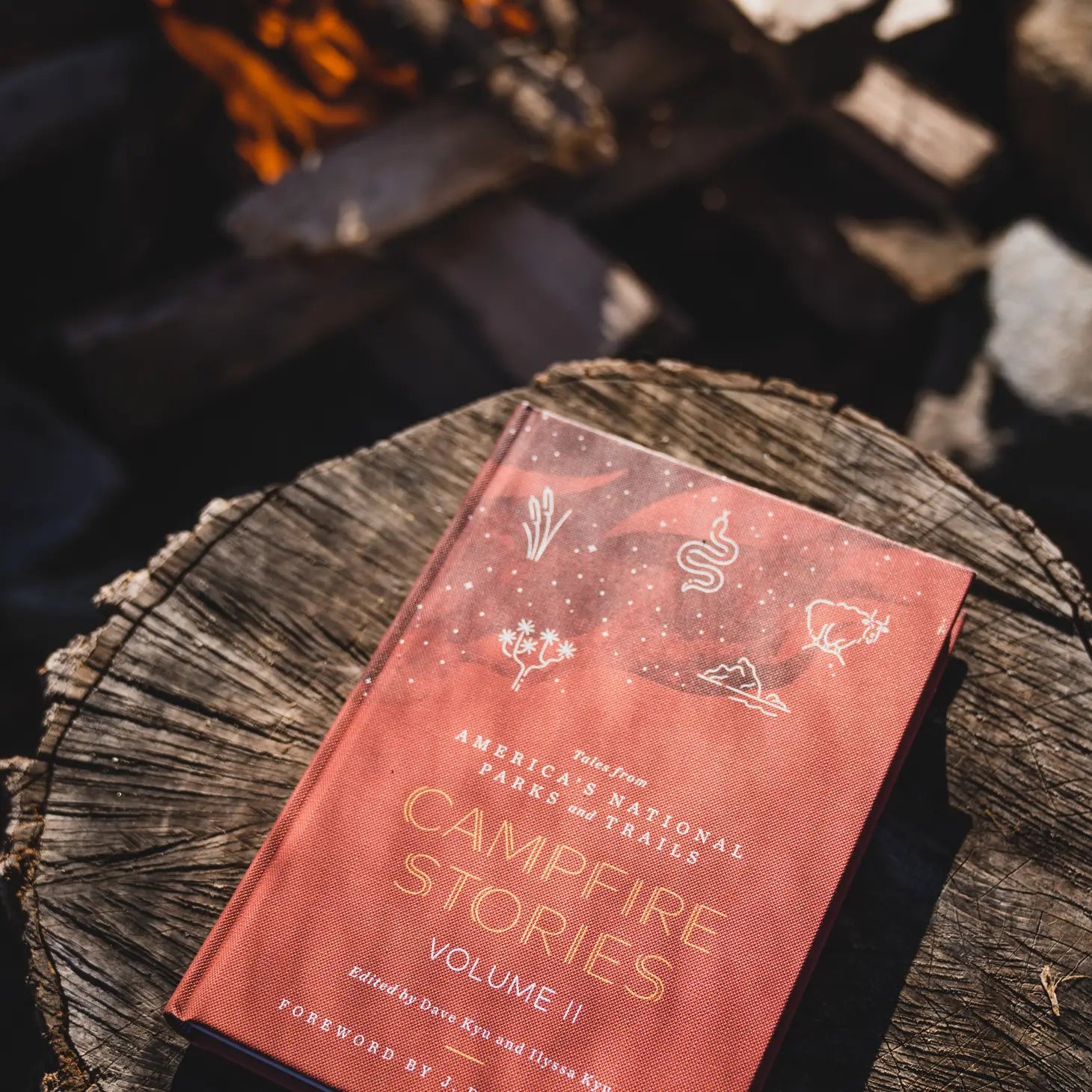 Campfire Stories Volume 2 – Feather + Larch